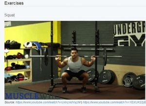 Musclewiki, the tool to find strength exercises for each muscle group